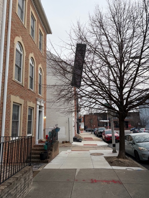 Window shutter in a tree – Sad!